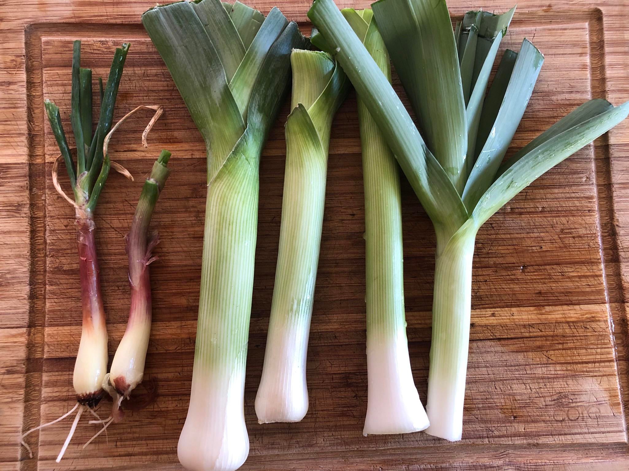 All For Gardening: Made leeks fondue jam, 100% homegrown - All For ...