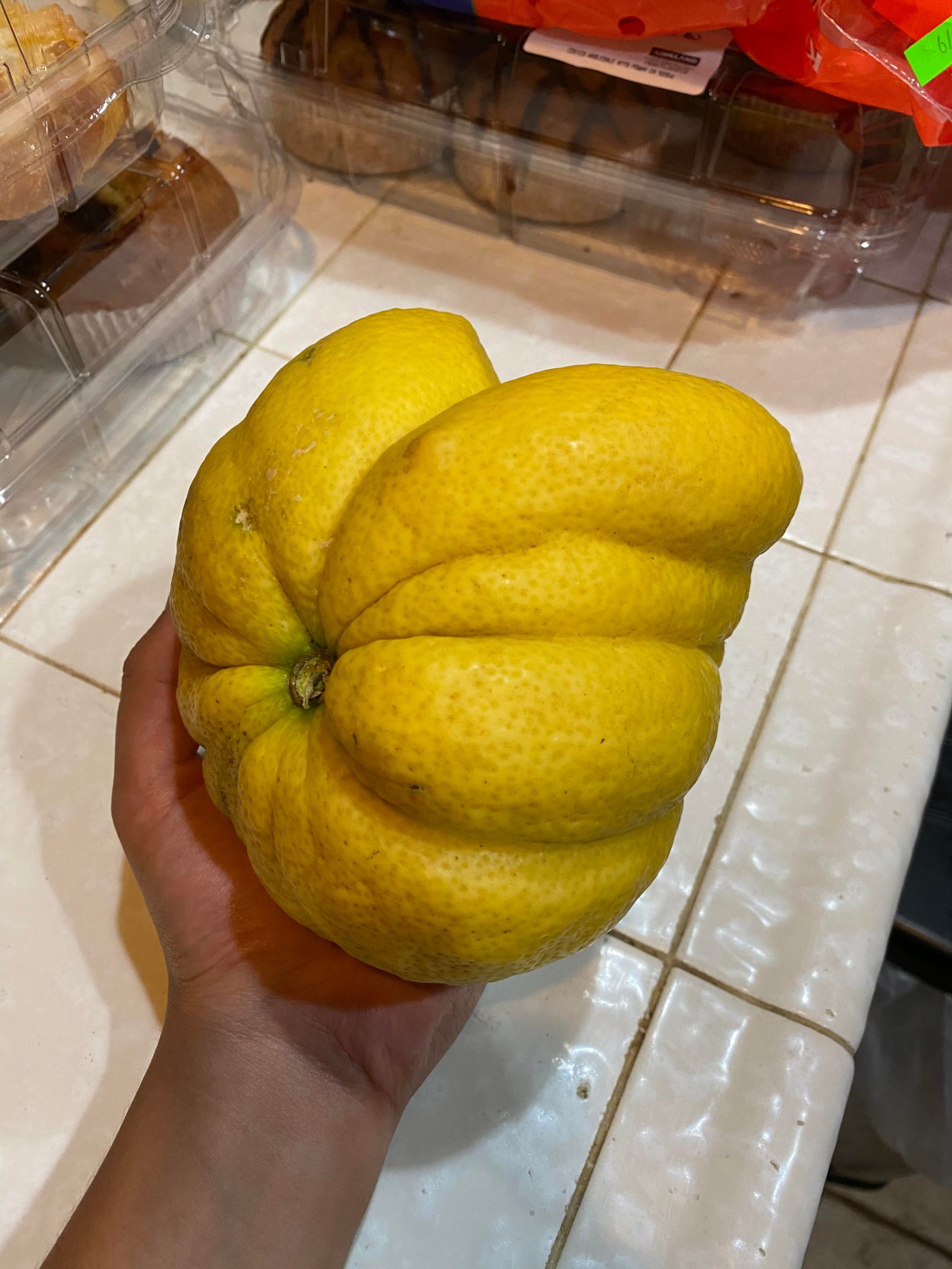 All For Gardening: my bf’s grandma grows the biggest lemons I’ve ever ...