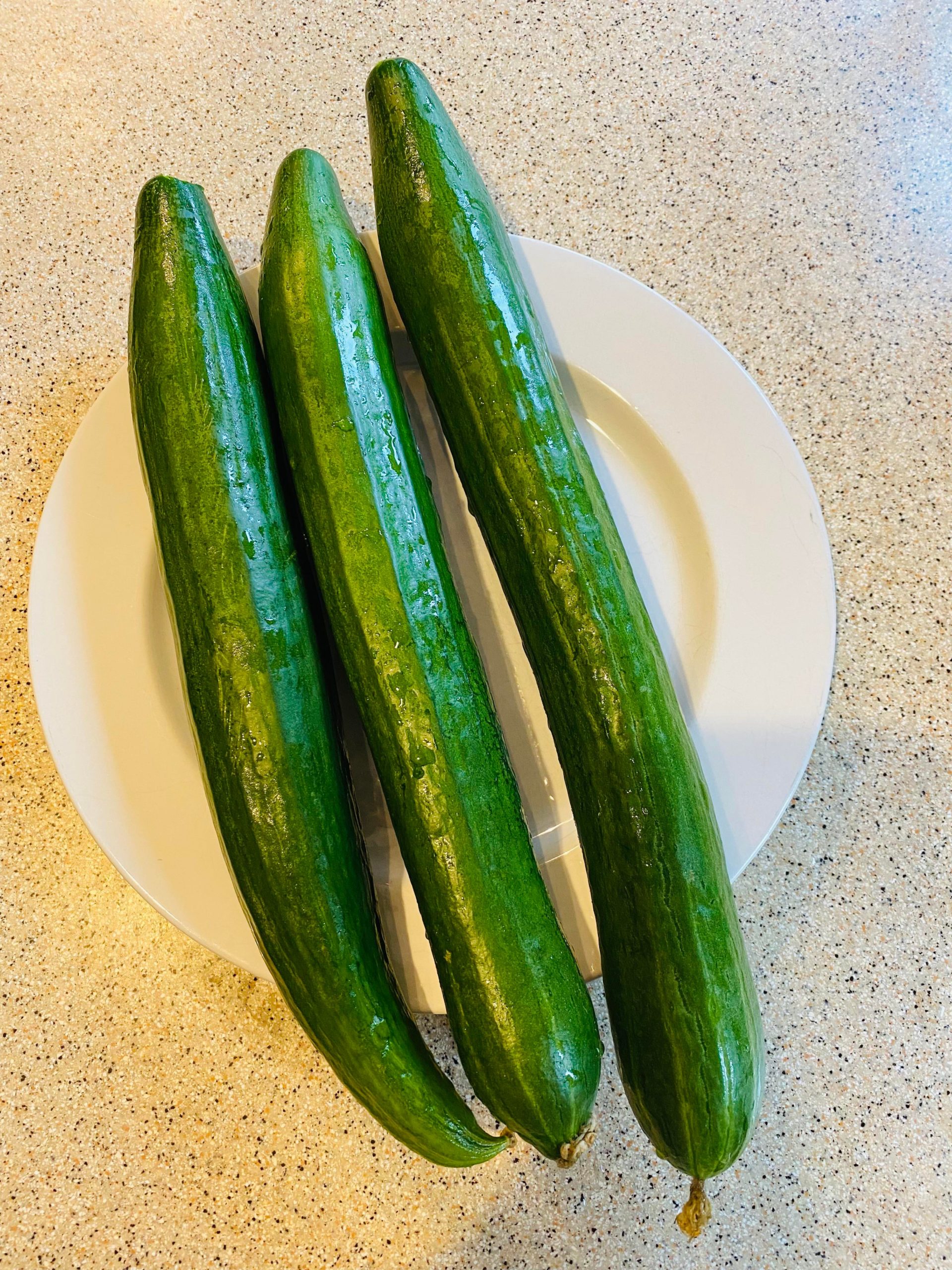 Vegetable Gardening: Chelsea Prize English cukes - All For Gardening