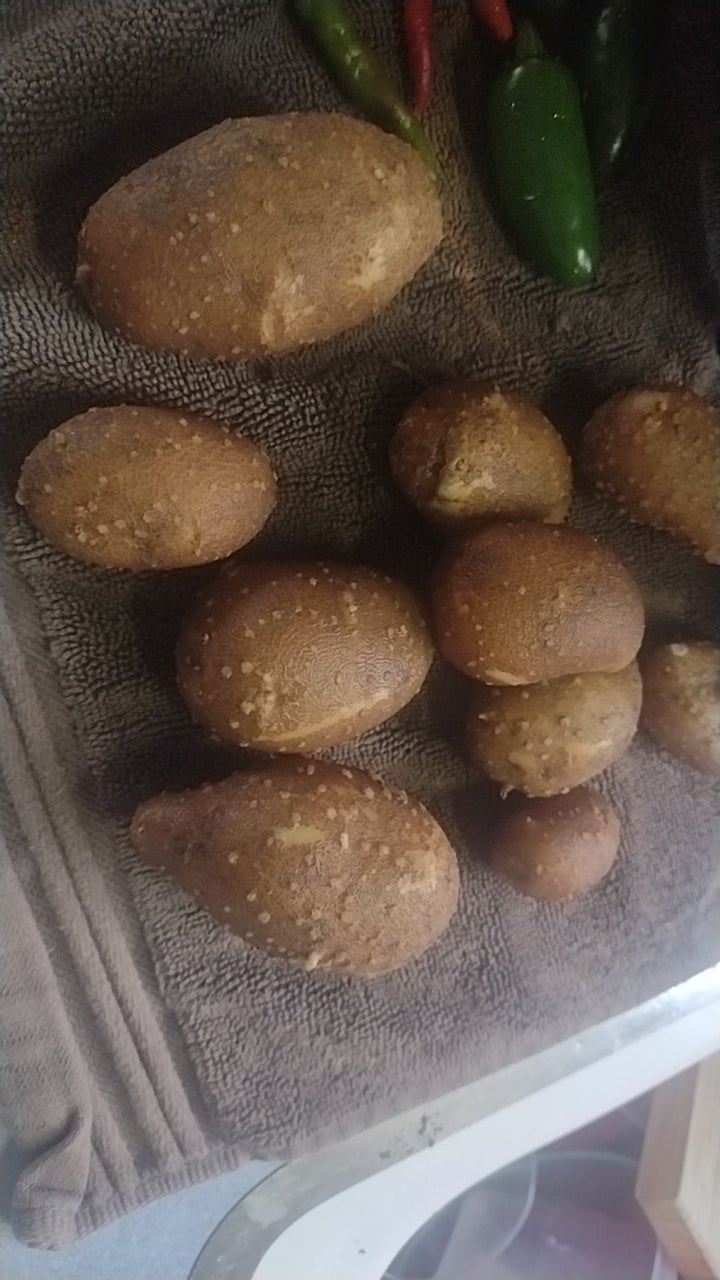 Vegetable Gardening: These potatoes look weird... WTH - All For Gardening