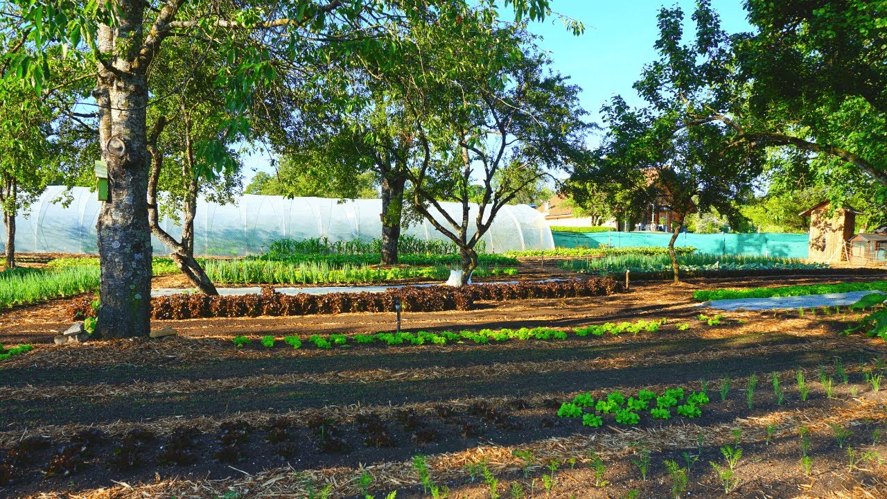 How to Design An Effective Homestead Garden - All For Gardening