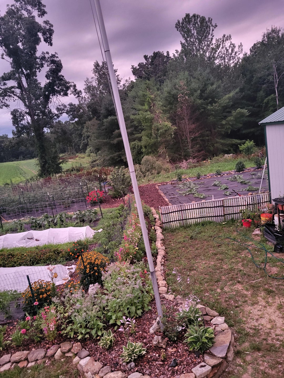 Expanded the garden at this year - All For Gardening