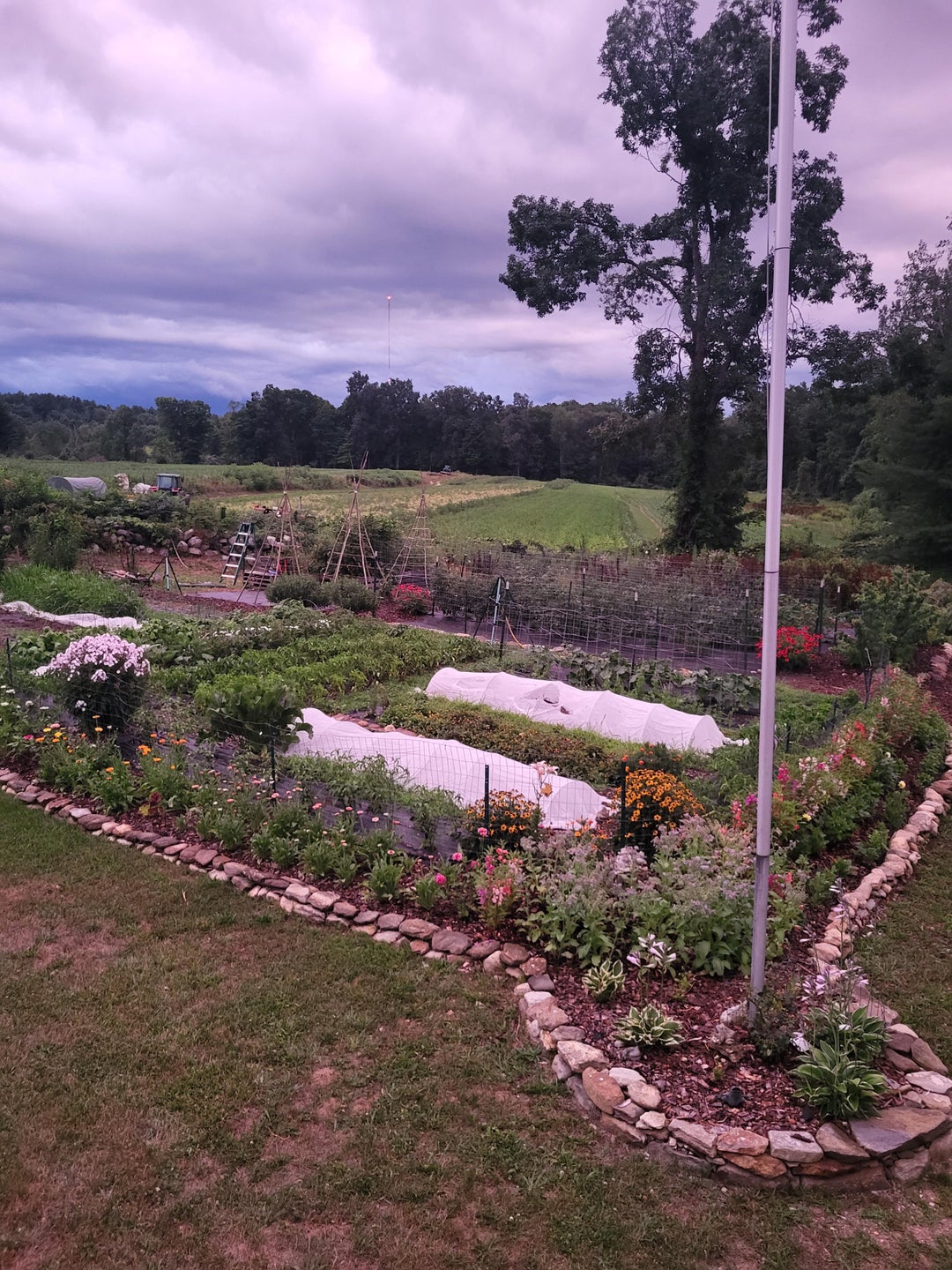 Expanded the garden at this year - All For Gardening