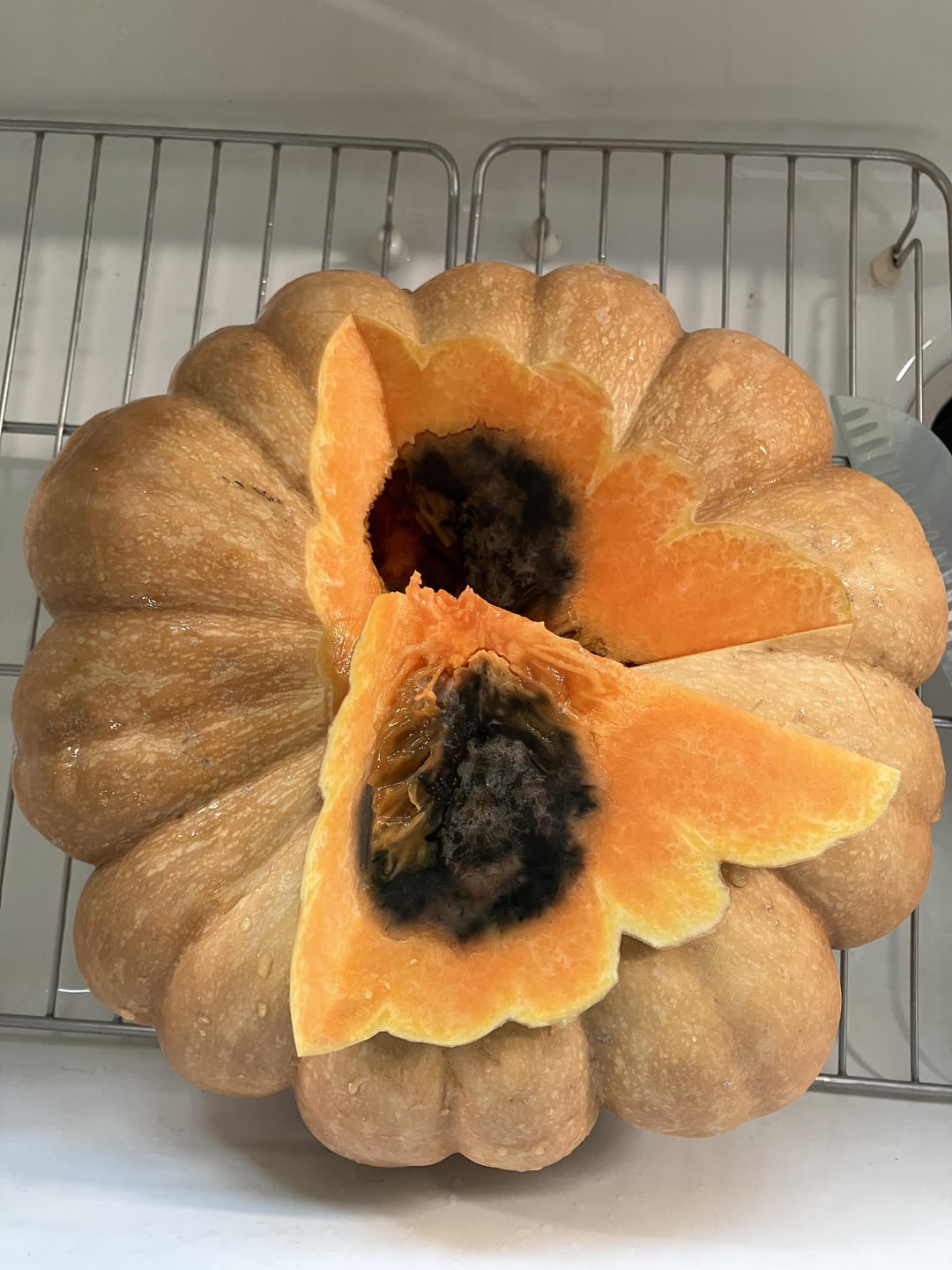 Processing moldy pumpkins - All For Gardening