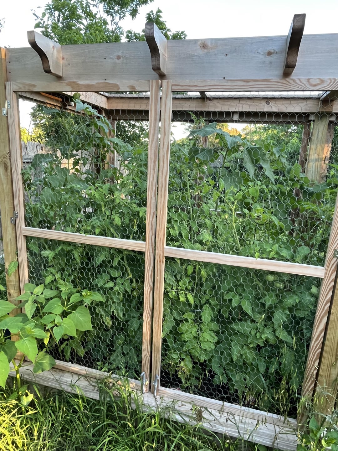 Last year I built the Tomato Prison to keep animals off of my precious ...