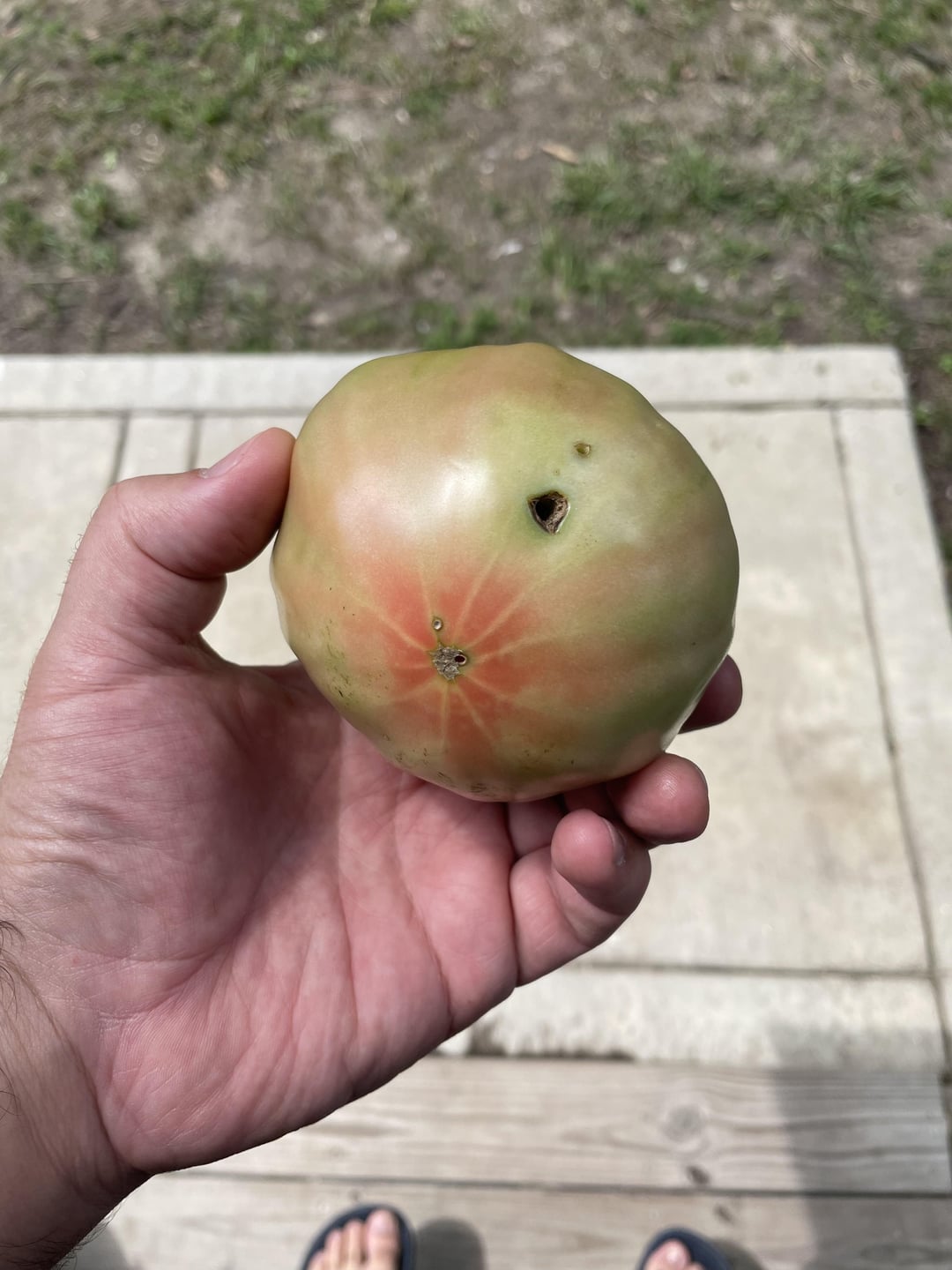 Keep or Toss? - All For Gardening