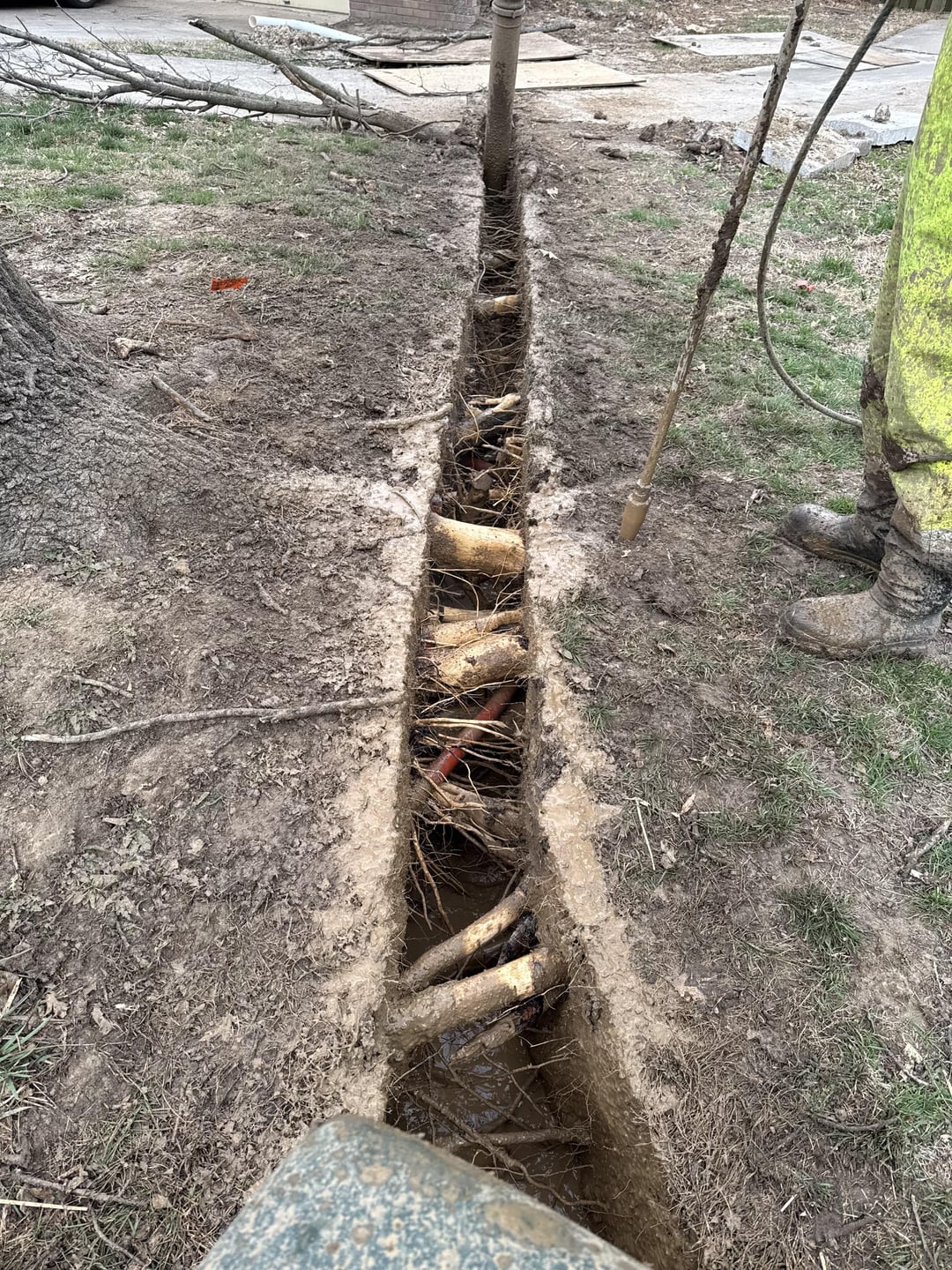 What size and how many tree roots can I cut without causing damage to ...