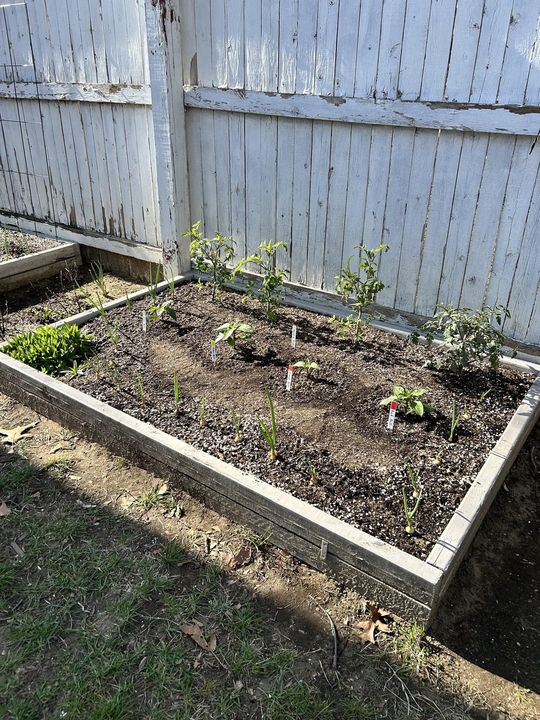 The 2025 season has begun in Springfield MA! - All For Gardening