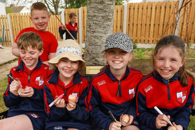 Wexford school revive old May Bush tradition at special community event ...