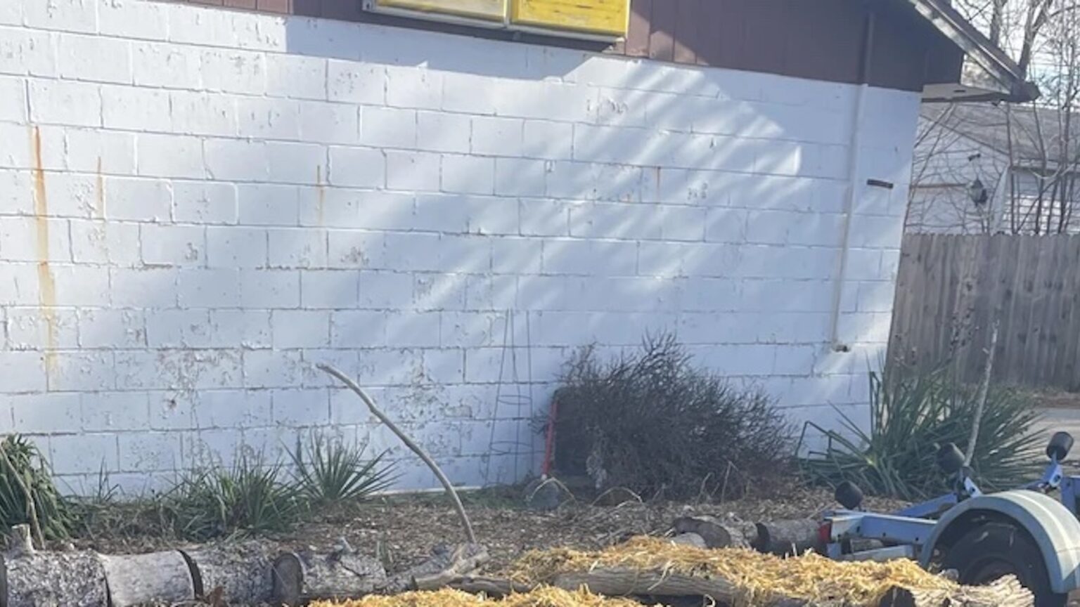 Gardener shares photo after transforming old parking lot: 'Looks ...