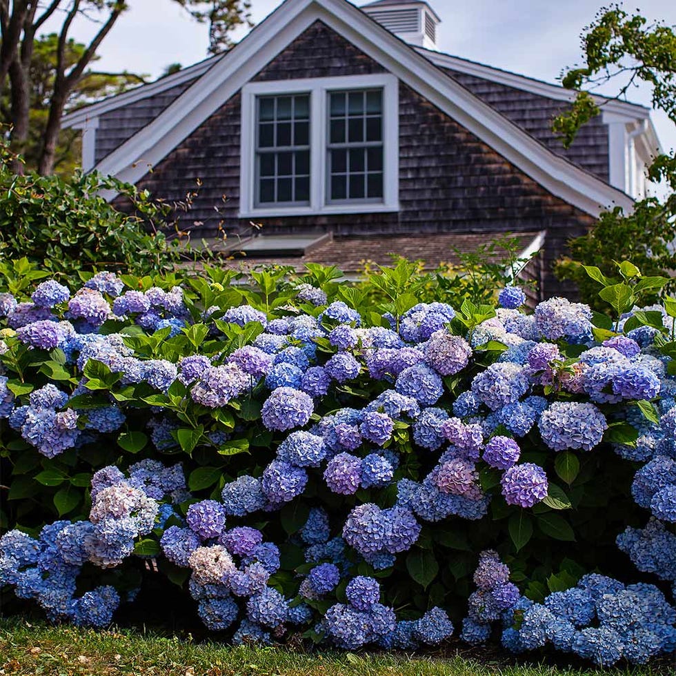 The 5 Spring Garden Trends Everywhere This Year, According to Experts ...