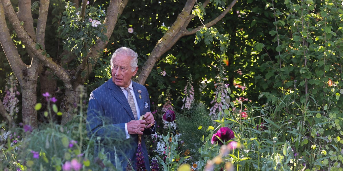 RHS Chelsea Flower Show Lifts Ban On 'Controversial' Garden Trend ...