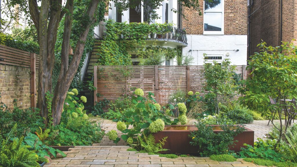 7 no-effort shrubs that thrive on neglect and add colour - All For ...