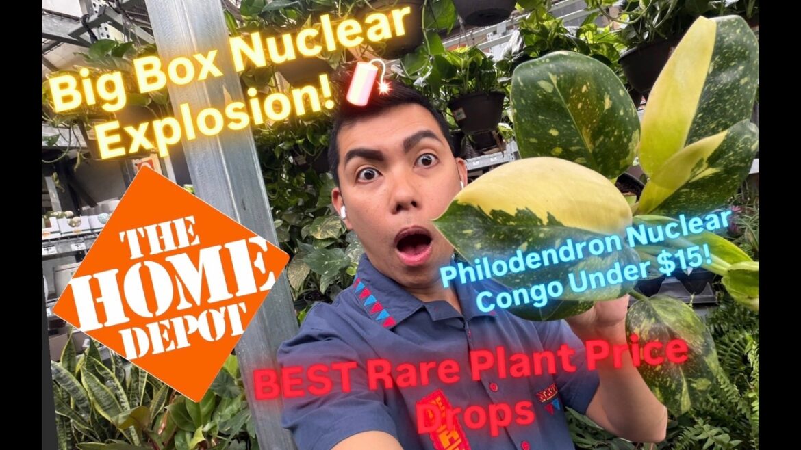 Stop Overpaying for Rare Plants: Home Depot Spring 2026 Deals Big Box ...
