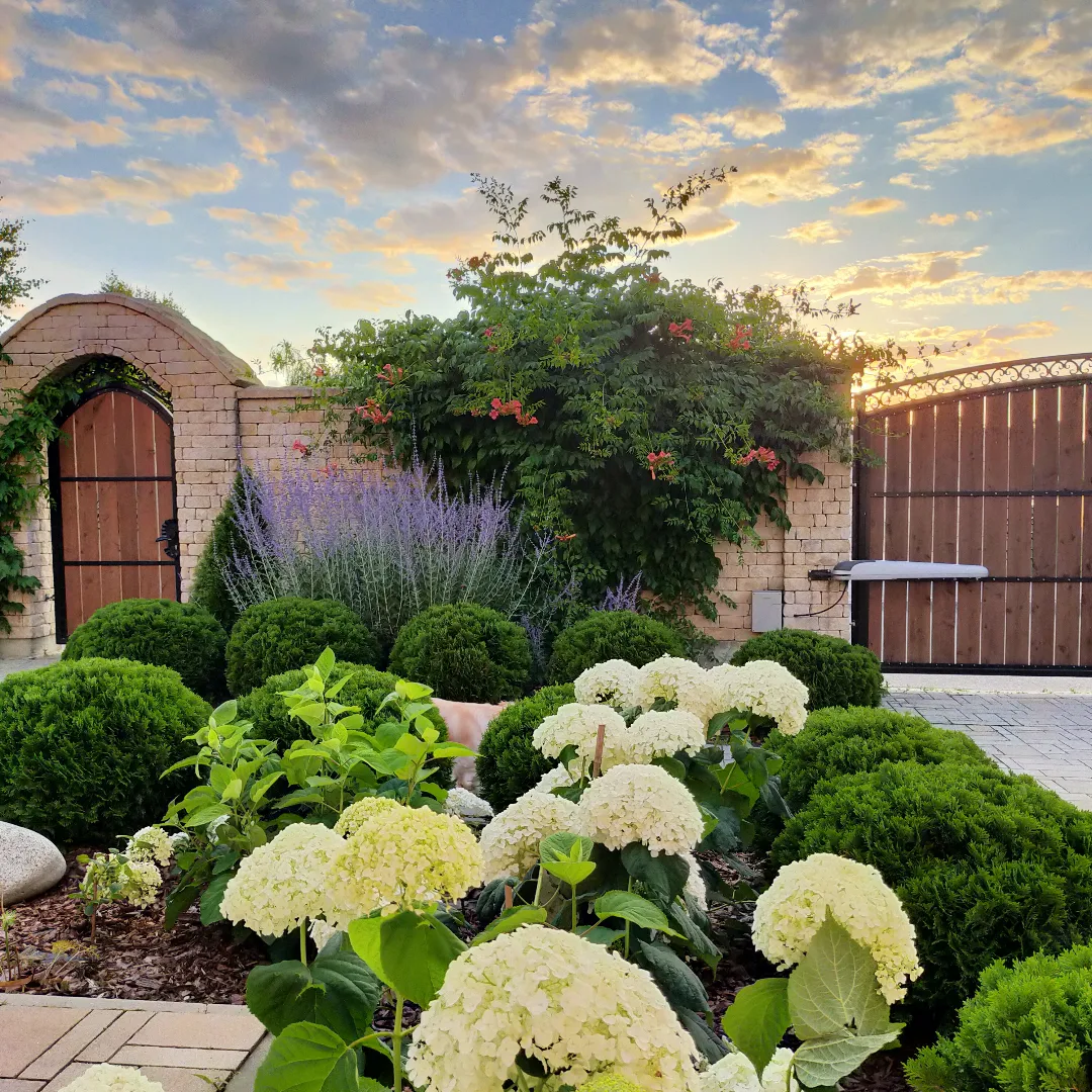 26 Garden Landscaping Ideas for 2026 That Make You Notice the Gaps More ...