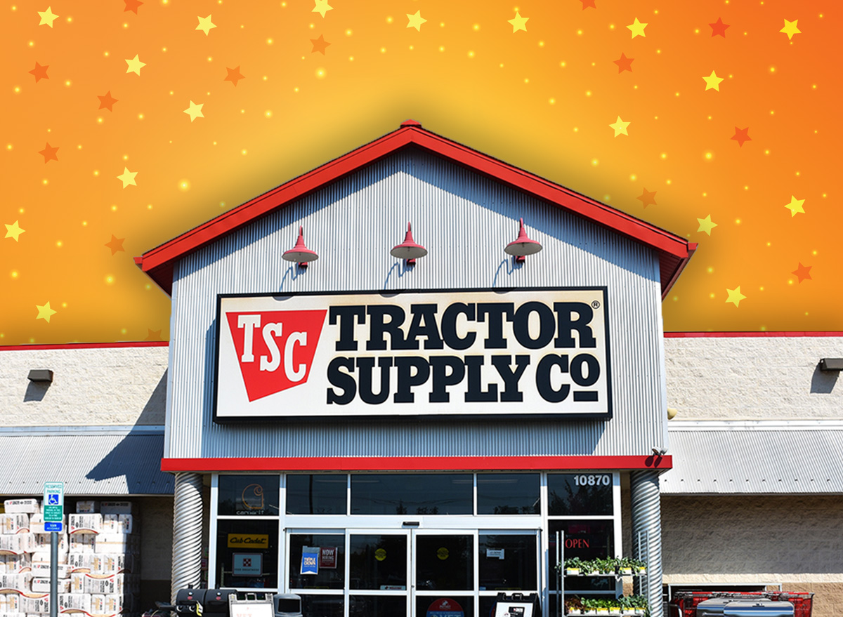 11 Best New Tractor Supply Outdoor Living Finds - All For Gardening