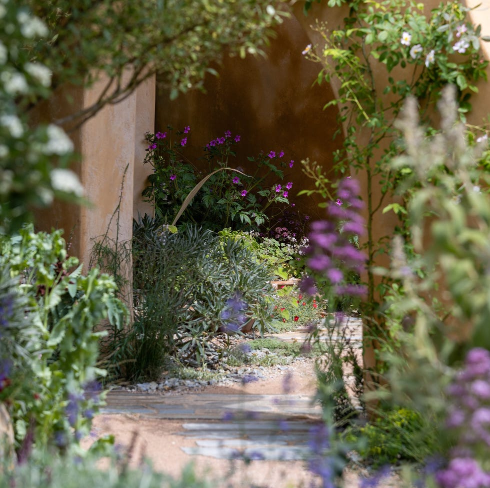 See All The Medal Winners From The RHS Chelsea Flower Show 2026 - All ...