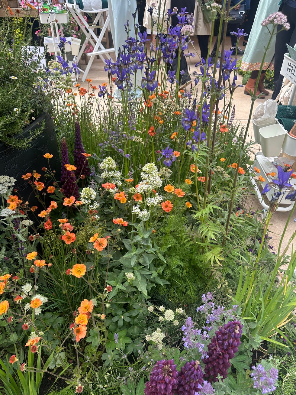 This Fiery Orange Flower Is Everywhere At Chelsea Flower Show 2026 ...