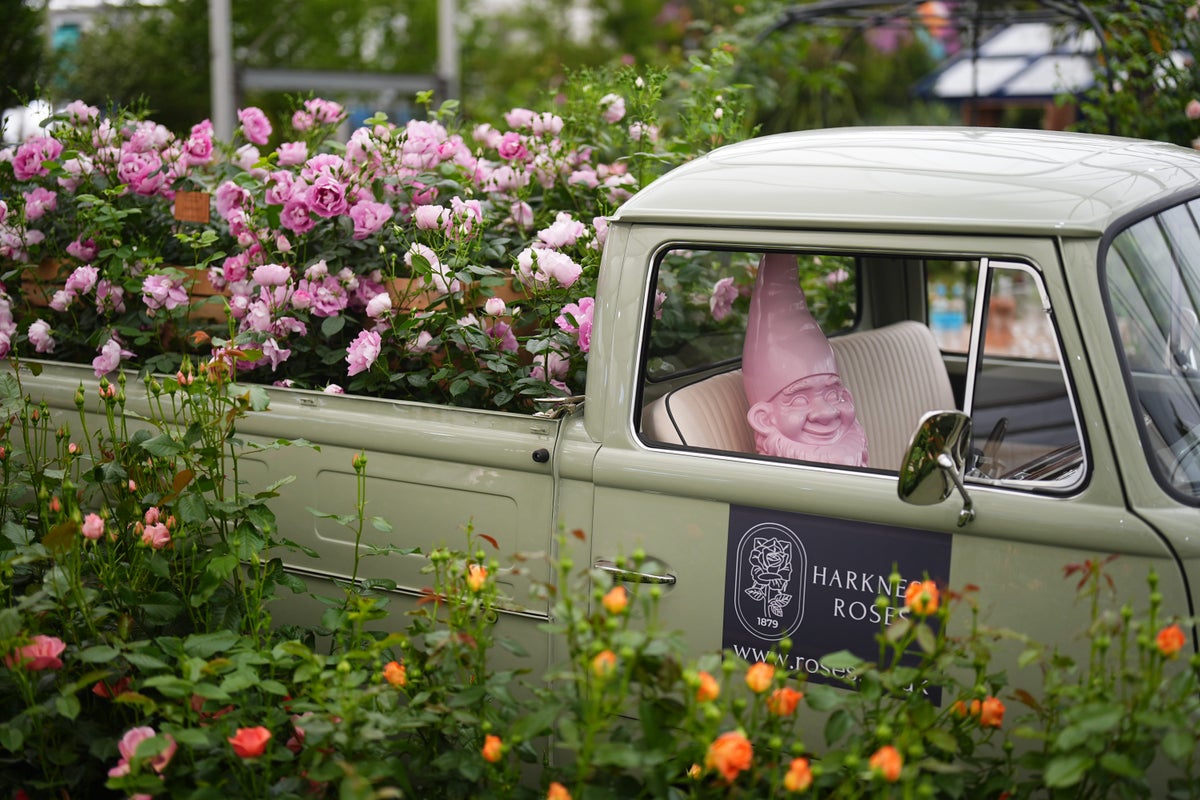 RHS Chelsea Flower Show 2026 reveals biggest garden trends from ...