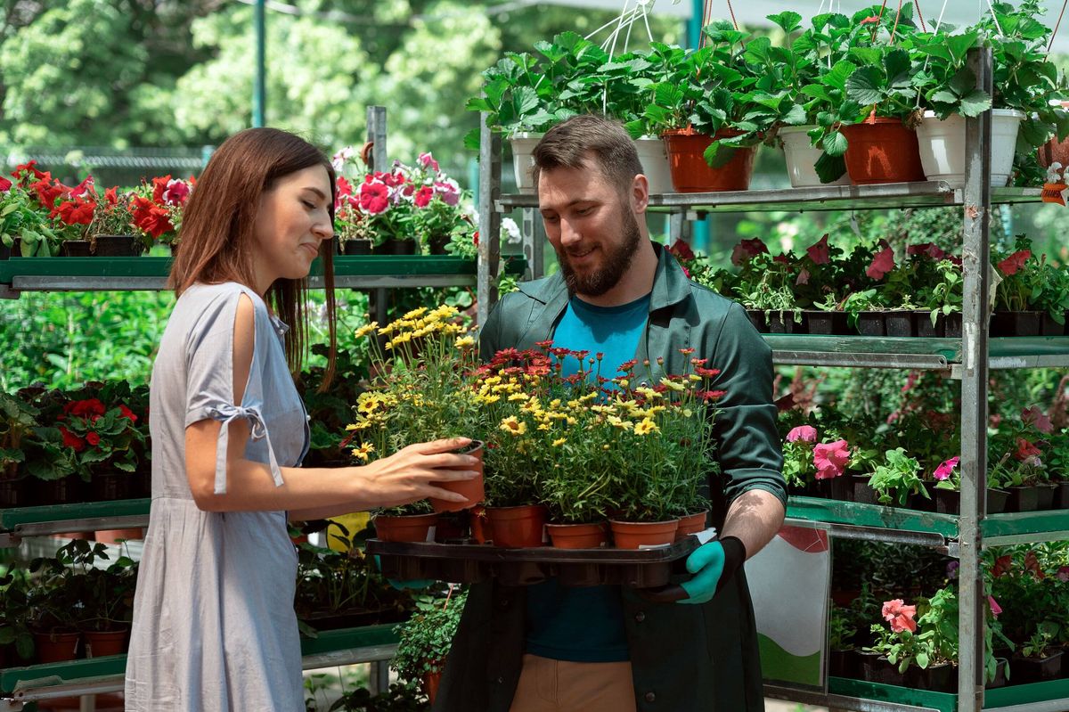 DIY and garden centre giant collapsed into administration owing with £ ...
